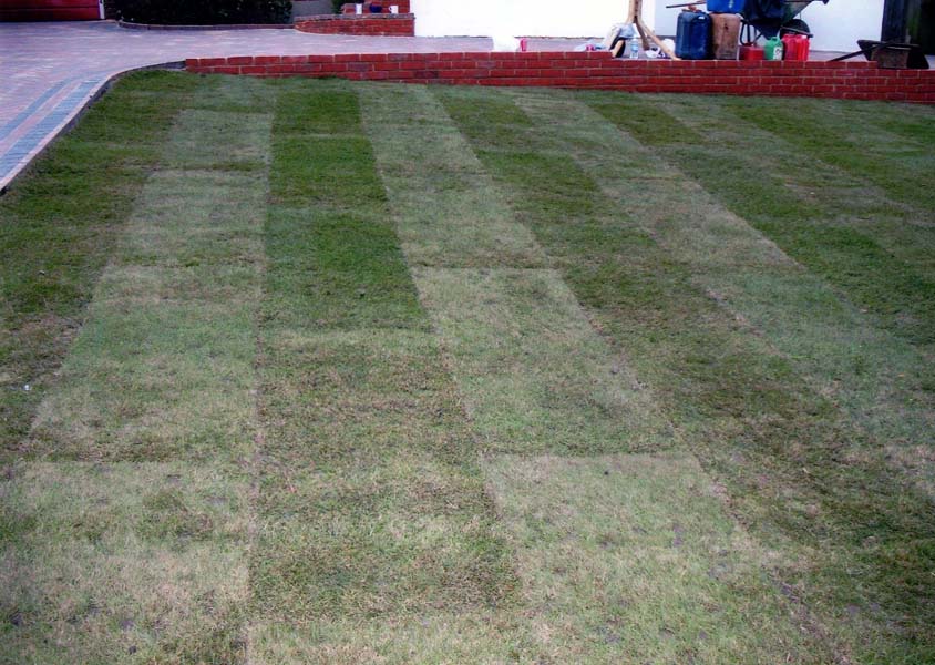 Turfing services in Surrey - get a free site visit & quotation now