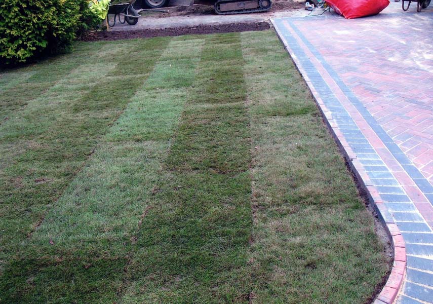 Turfing services in Surrey - get a free site visit & quotation now